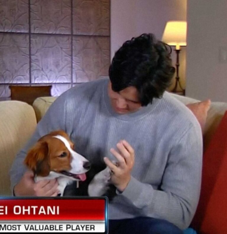 【動画/画像】大谷翔平の犬の犬種は？誰が飼っている？MVPでハイタッチ！